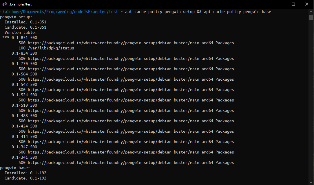 Npm init problem · Issue #470 · WhitewaterFoundry/Pengwin · GitHub