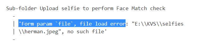 File Load Error While Uploading A File From The Path Specified In Json Data File · Issue 1979 