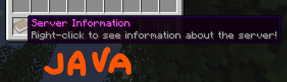 name item dont show correctly · Issue #1493 · GeyserMC/Geyser · GitHub