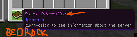 name item dont show correctly · Issue #1493 · GeyserMC/Geyser · GitHub