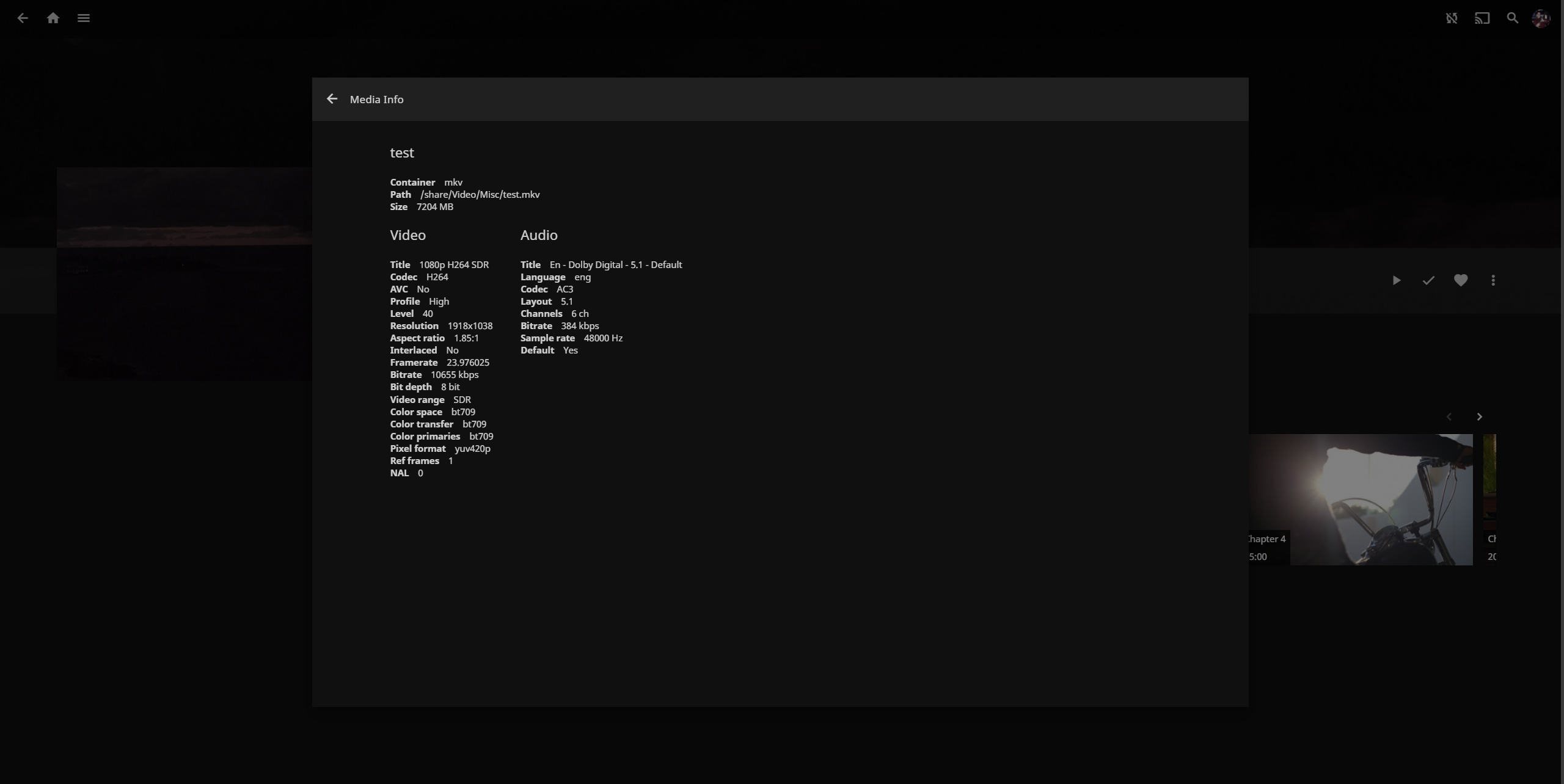 Reverse proxy playback fail on certain video · Issue #113 · jellyfin/jellyfin-tizen · GitHub