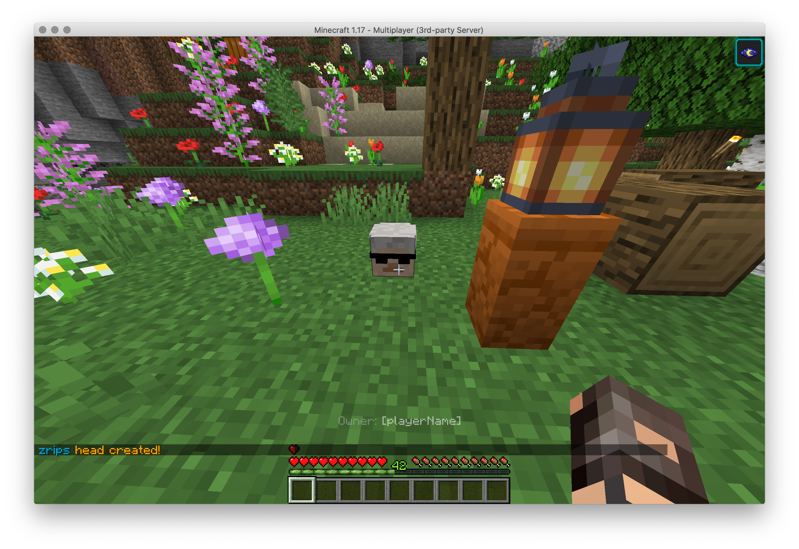 [bug] Right-clicking placed heads to get owner displays [playerName ...