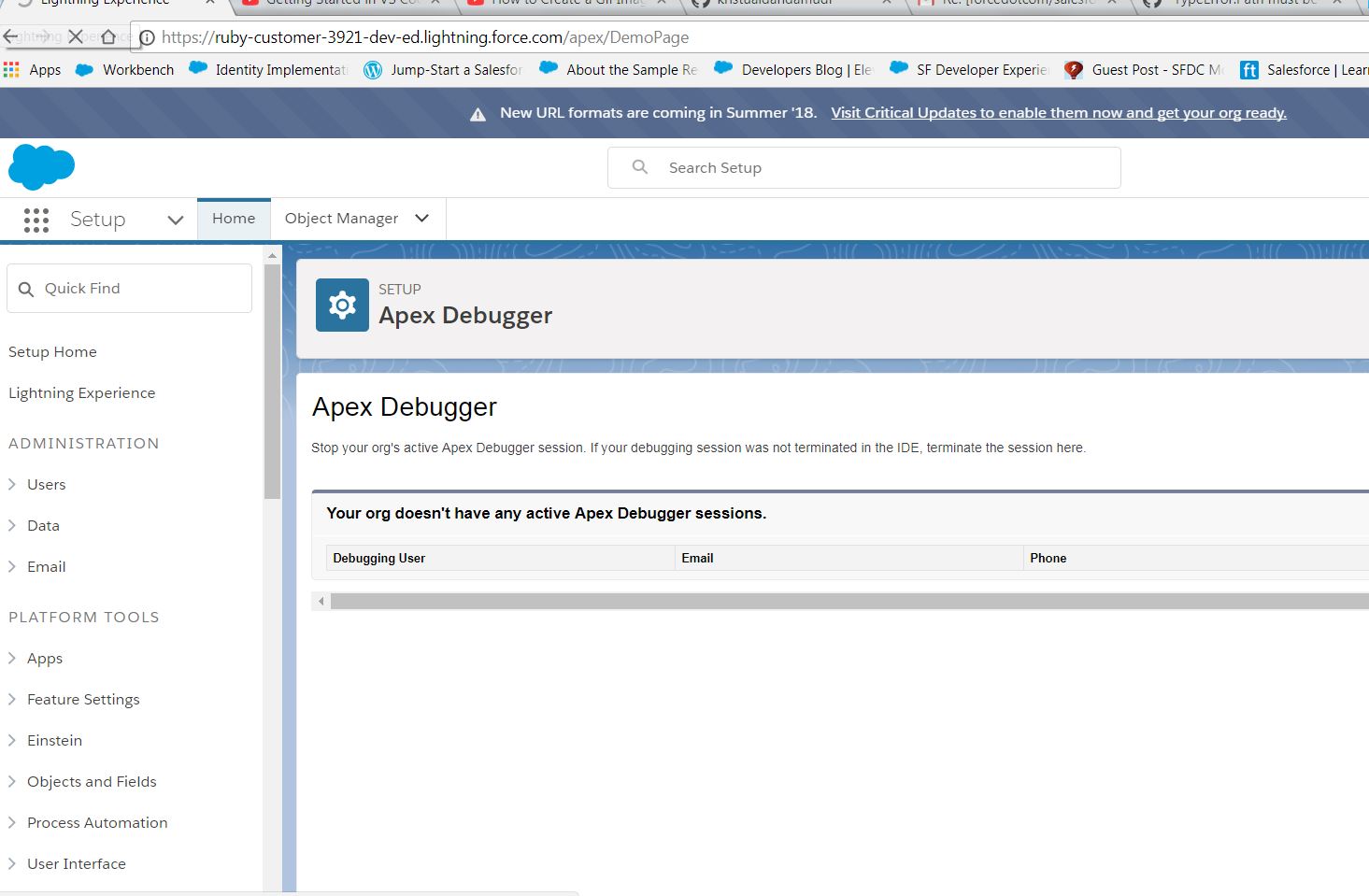 Unable to open file with Apex Interactive Debugger when the path to the file contains spaces ...