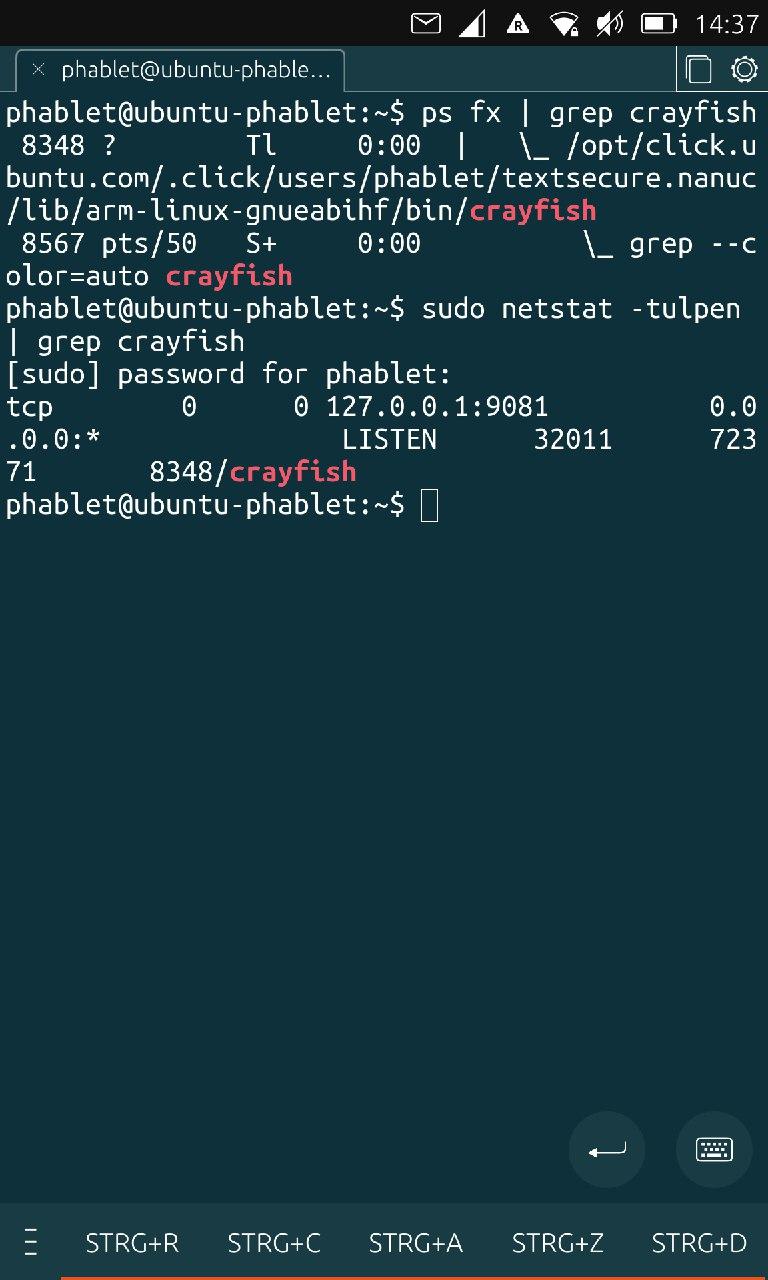 [BUG] Can't recieve messages anymore · Issue #641 · axolotl-chat/axolotl · GitHub