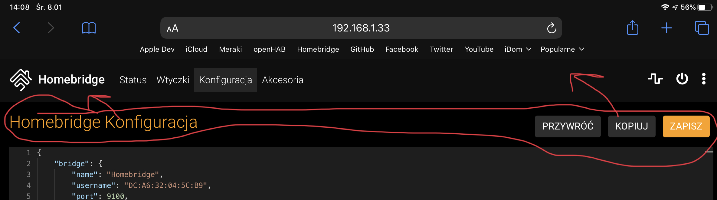 Config Editor · Issue #451 · homebridge/homebridge-config-ui-x · GitHub