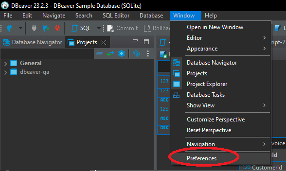 Unreadable characters in the name of the project or database · Issue ...