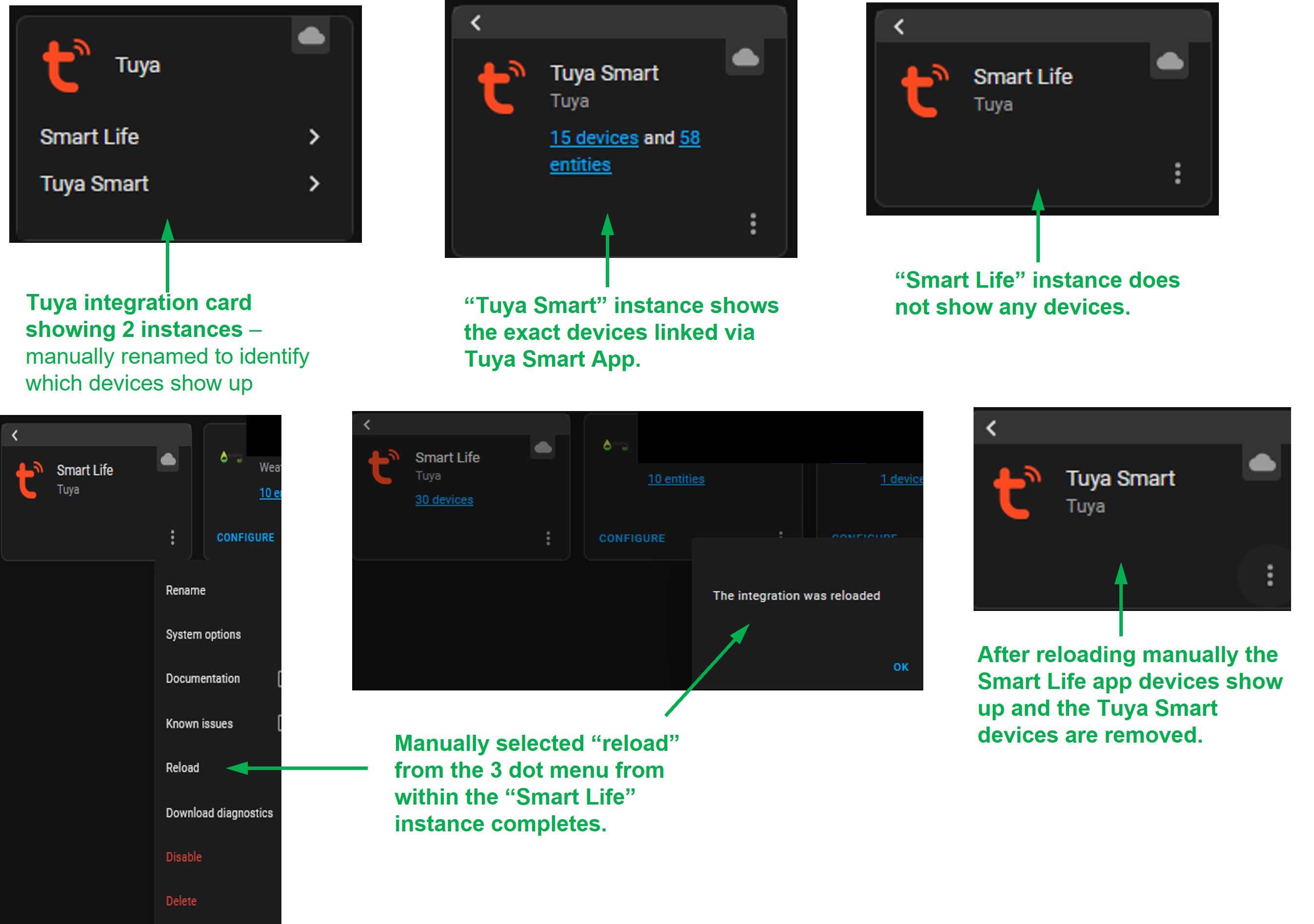 Tuya Integration -- Missing Devices · Issue #75349 · home-assistant/core · GitHub