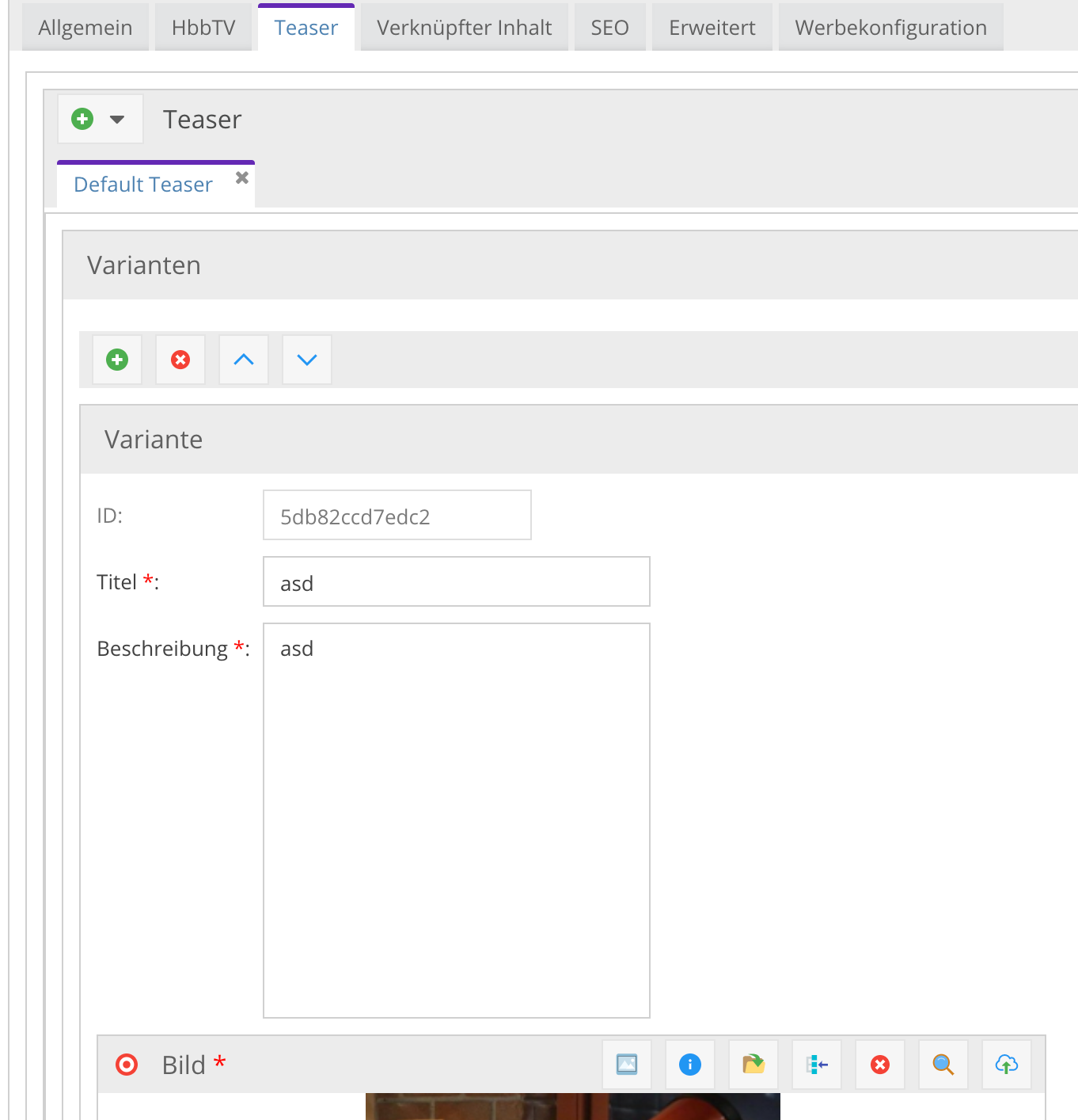 Objectbricks mandatory fields are not validated correctly · Issue #5172 · pimcore/pimcore · GitHub