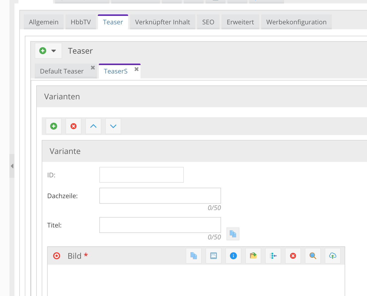 Objectbricks mandatory fields are not validated correctly · Issue #5172 · pimcore/pimcore · GitHub