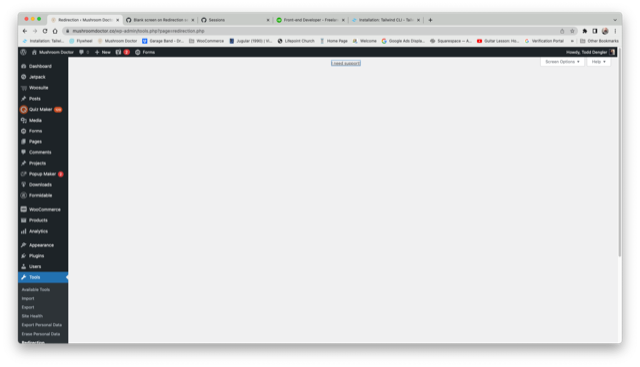 Blank screen on Redirection settings page · Issue #3319 · johngodley/redirection · GitHub