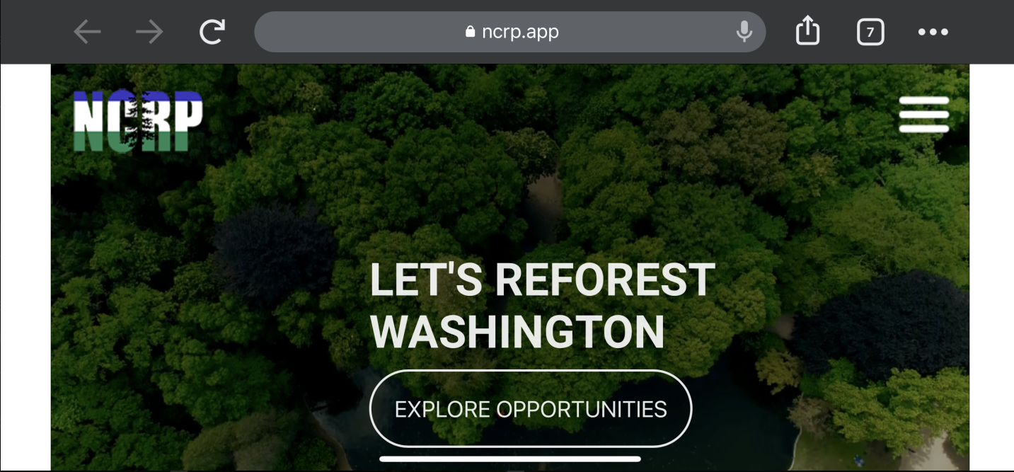 Bug: Notches on newer mobile devices create layout issues · Issue #45 · Negative-Carbon ...