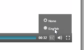 Display of Video Controls · Issue #2292 · mediaelement/mediaelement · GitHub