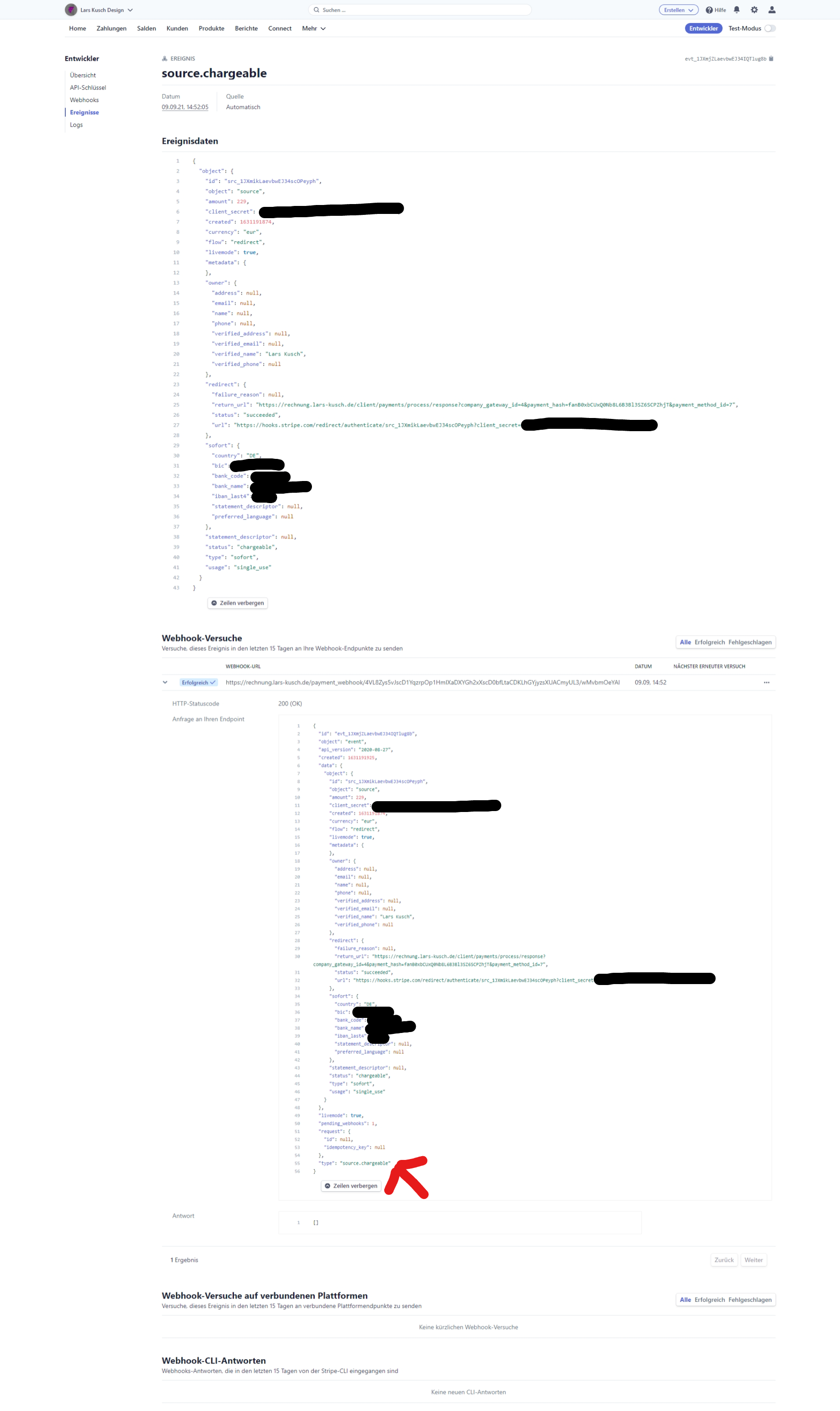 Stripe payment issue · Issue #6612 · invoiceninja/invoiceninja · GitHub