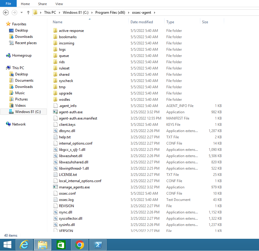 Release 4.3.0 - Release Candidate 7 - Windows agent installation ...