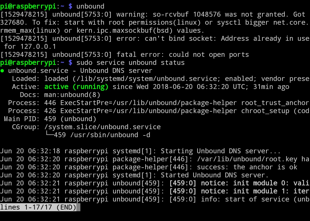 DNS resolution and webserver stops after clicking query log (show all ...