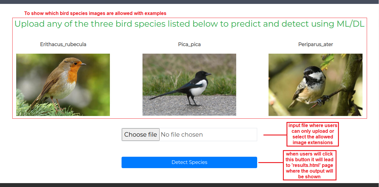 GitHub - Bikashgrg/Enterprise-solution-for-bird-species-detection-model ...