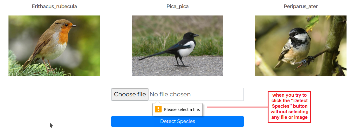 GitHub - Bikashgrg/Enterprise-solution-for-bird-species-detection-model ...