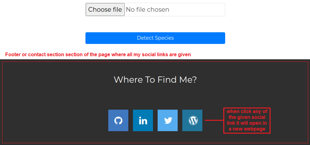 GitHub - Bikashgrg/Enterprise-solution-for-bird-species-detection-model ...