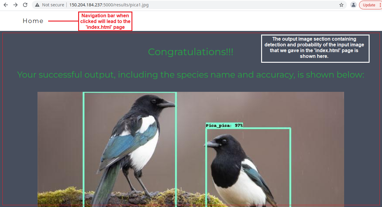 Github Bikashgrg Enterprise Solution For Bird Species Detection Model