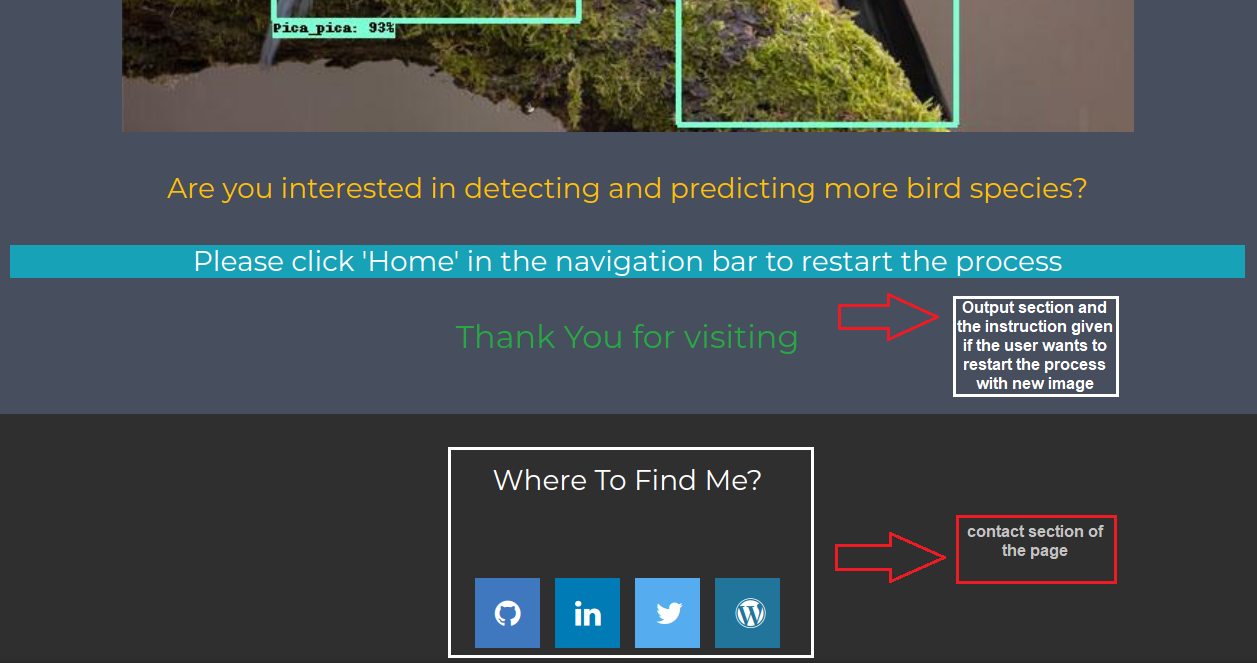 GitHub - Bikashgrg/Enterprise-solution-for-bird-species-detection-model ...