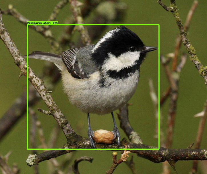 GitHub - Bikashgrg/Enterprise-solution-for-bird-species-detection-model ...