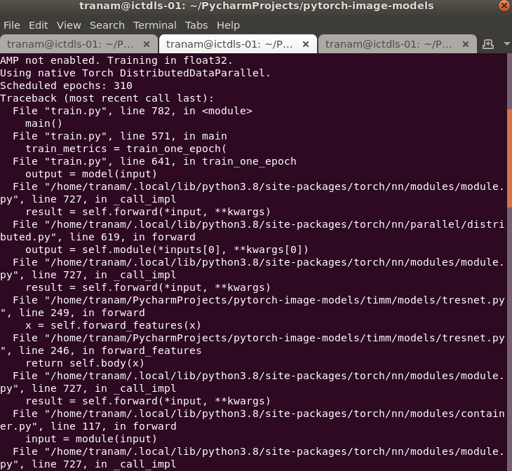 [BUG] Inplace-ABN for Tresnet not found · Issue #563 · huggingface/pytorch-image-models · GitHub