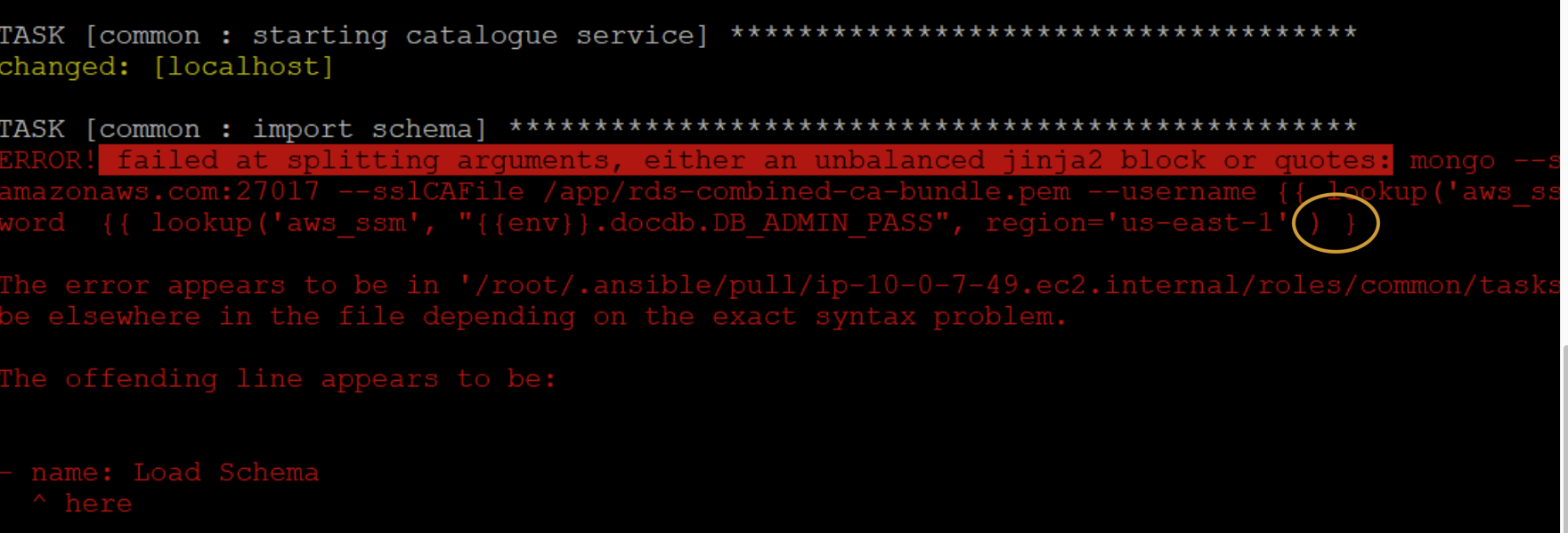 Getting Error In Dev Cataloague Importing Mongodb Schema Documentdb Cluster Terraform