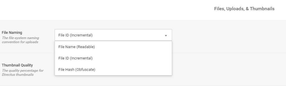File Naming Options · Issue #337 · directus/v8-archive · GitHub