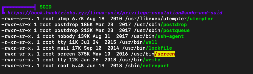 why screen software recognized as PE vector ? · Issue #188 · peass-ng/PEASS-ng · GitHub