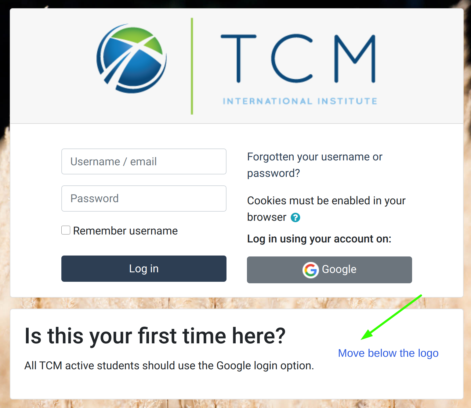 Login Page Customizations · Issue #103 · moodle-an-hochschulen/moodle ...