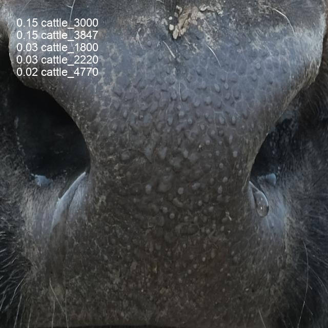 GitHub - s4ki3f/cattle-identification-using-yolov8