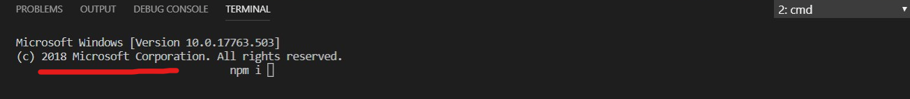 Terminal doesn't work correctly when I open new terminal. · Issue ...