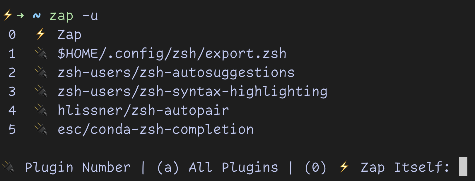 bug: local file should not show in update list · Issue #51 · zap-zsh/zap · GitHub