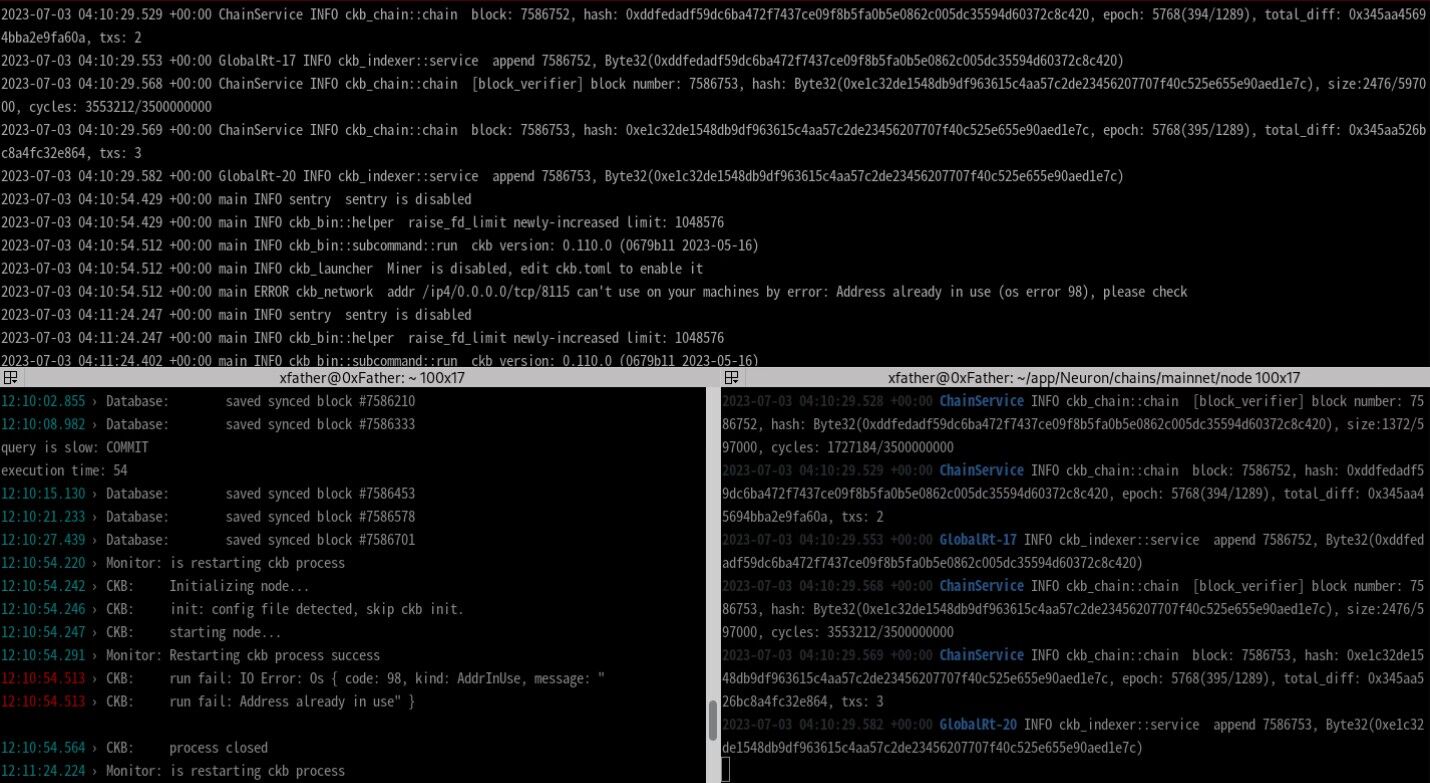 Use Neuron with manually internal ckb node · Issue #2701 · nervosnetwork/neuron · GitHub