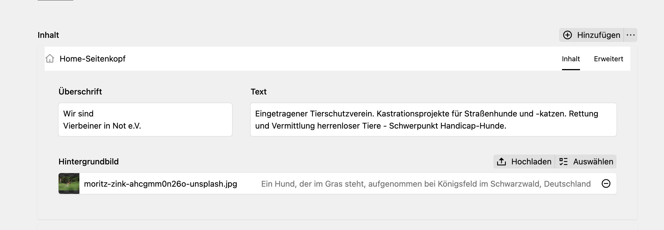 [v4] Fields Block Preview has weird styling when `update` permission is set to false · Issue ...