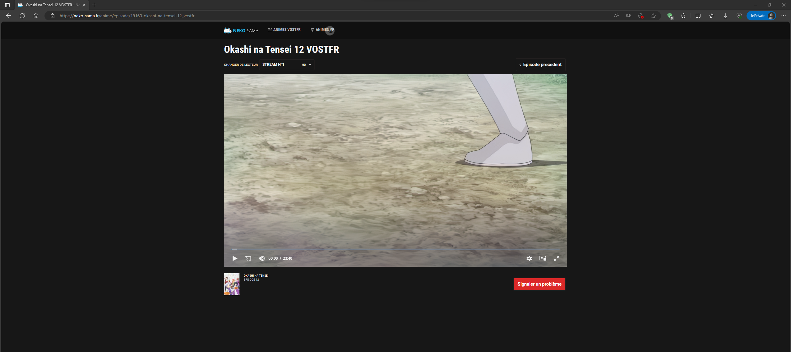 neko-sama.fr · Issue #161453 · AdguardTeam/AdguardFilters · GitHub