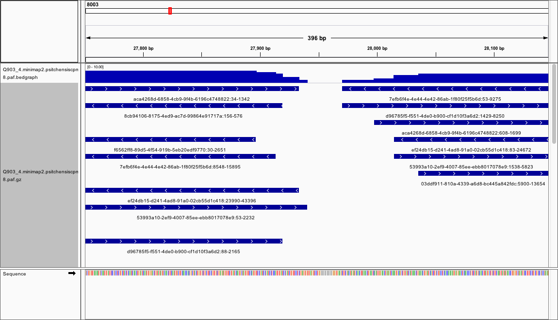 Group alignments with the same query name · Issue #491 · igvteam/igv · GitHub