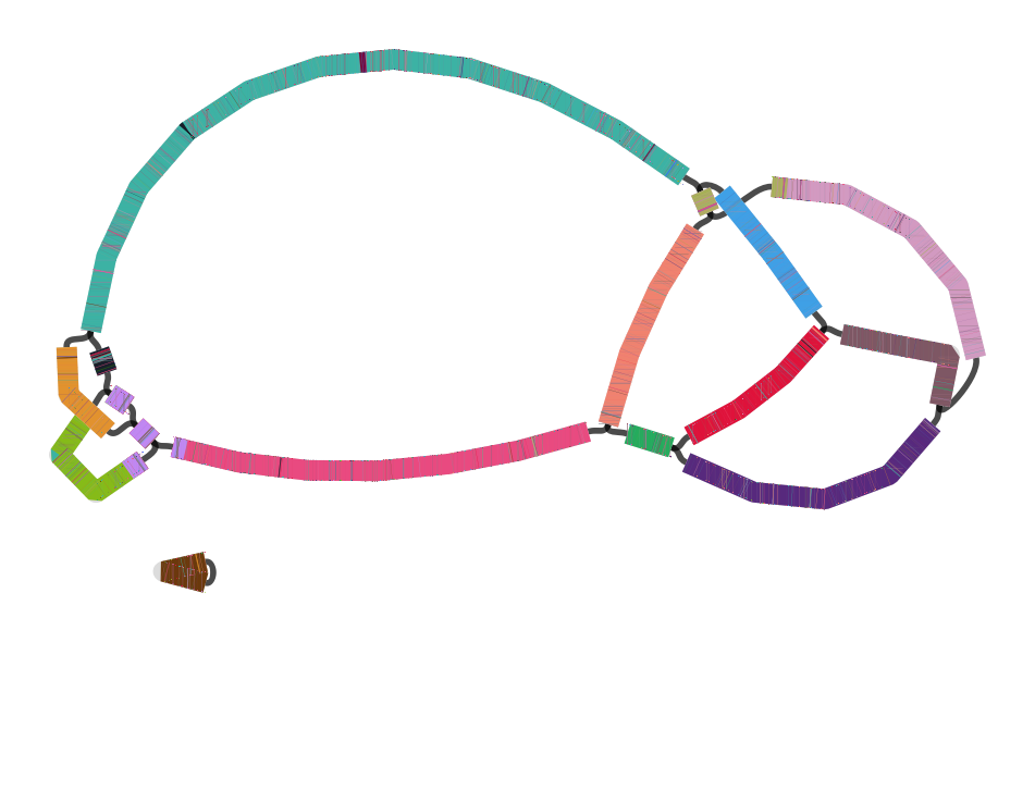 GFA file after polishing [feature request] · Issue #54 · mikolmogorov ...