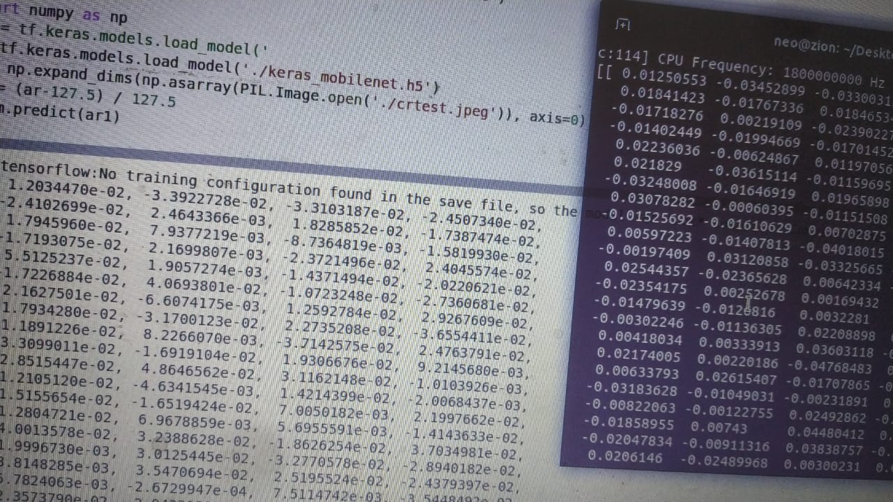 Different outputs for same input & model in Colab vs Laptop · Issue ...