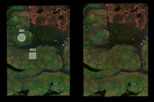 Porting some old Emgu code to NetVips · Issue #130 · kleisauke/net-vips · GitHub