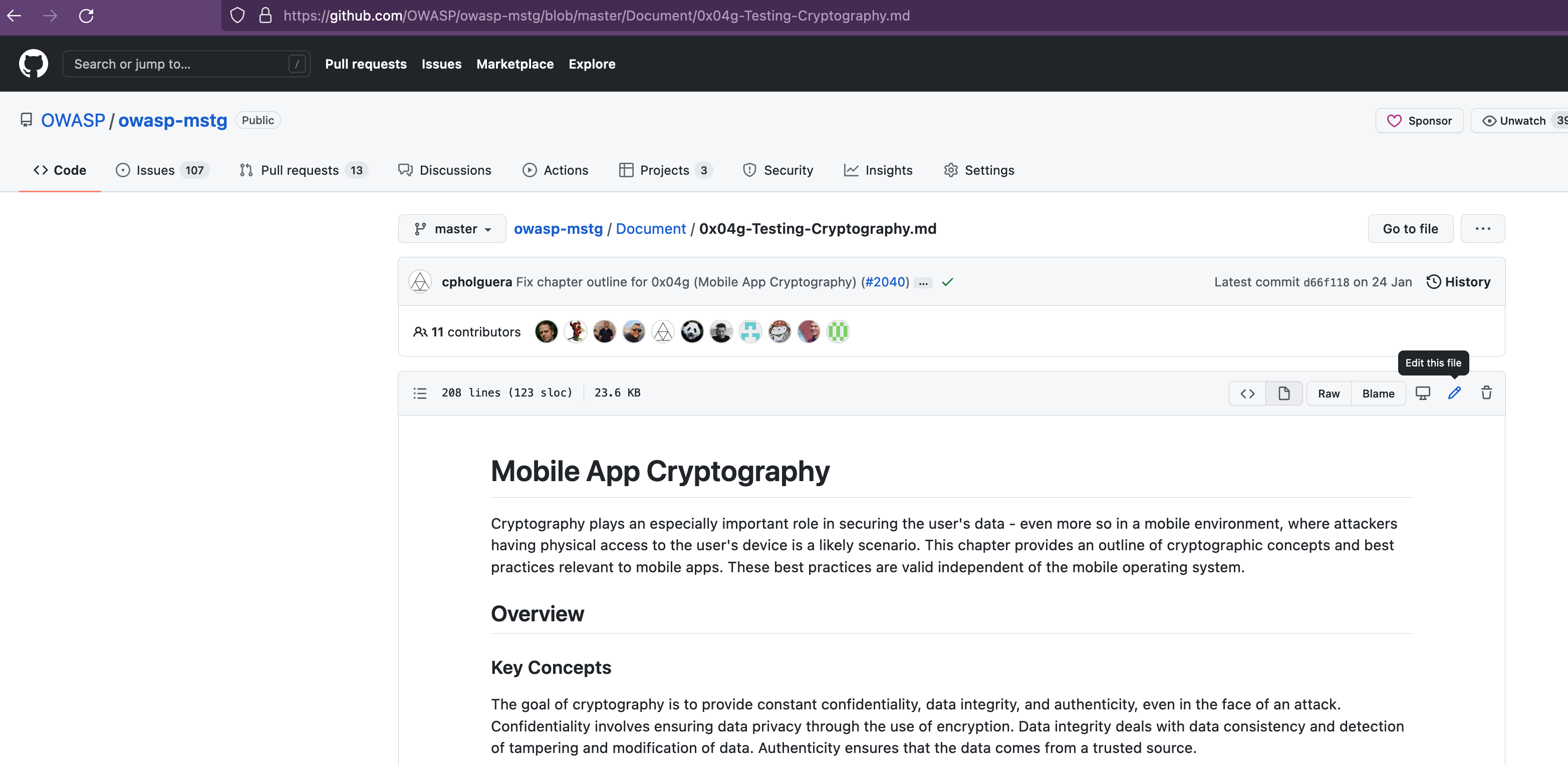 Typo · Issue 2087 · Owaspowasp Mastg · Github