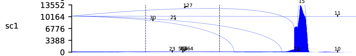 Assorted dumb questions considering sashimi and stranded libraries · Issue #60 · ygidtu ...
