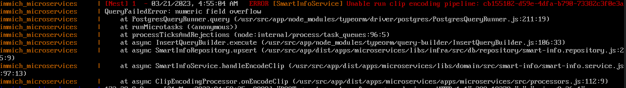 [bug] Internal Server Error 500 When Clicking Explore · Issue 2028 · Immich App Immich · Github