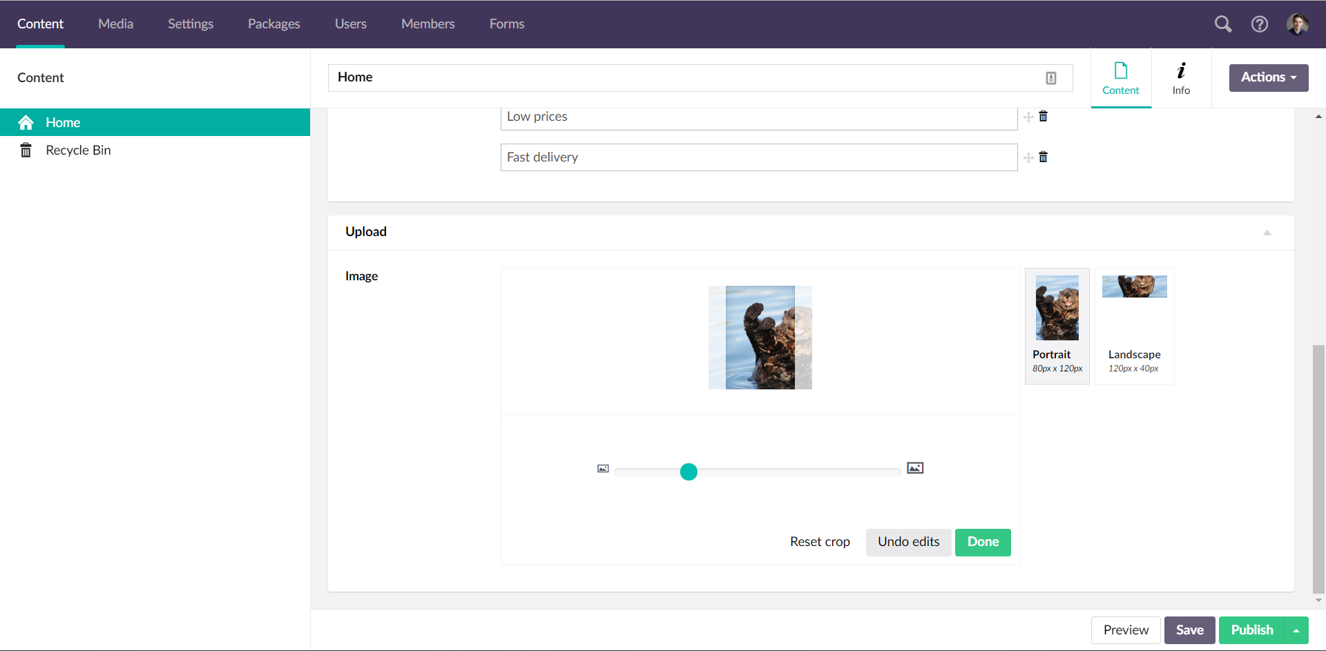 v8 - Update slider in image cropper · Issue #3985 · umbraco/Umbraco-CMS · GitHub