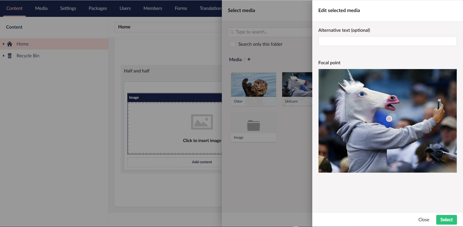 Console error when opening media picker crop from grid · Issue #8545 · umbraco/Umbraco-CMS · GitHub