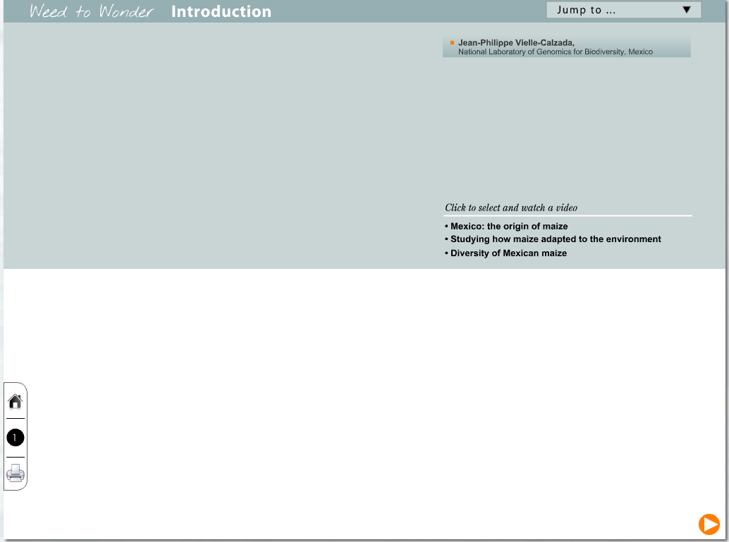 Issues on http://new.weedtowonder.org/introduction.html · Issue #10173 · ruffle-rs/ruffle · GitHub