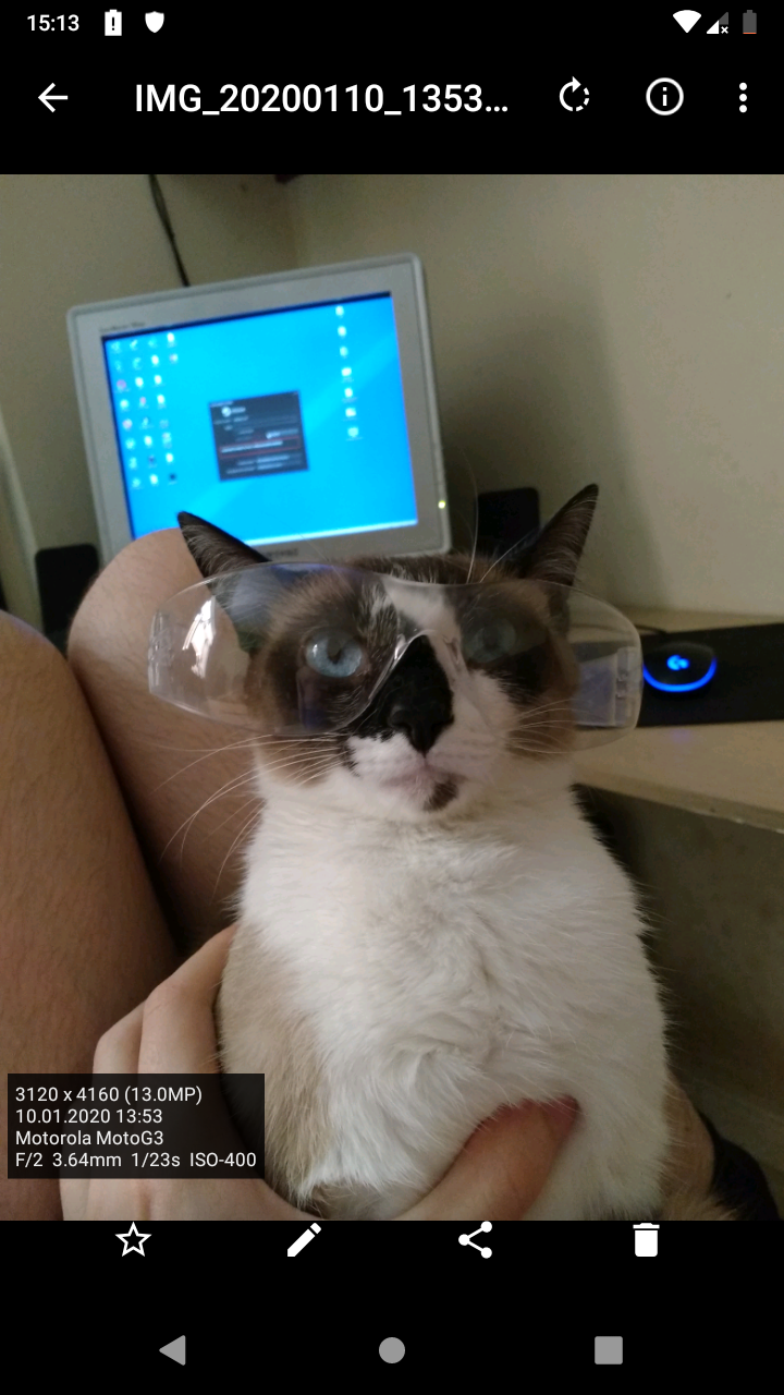 Icons on top right depend on the orientation you opened the image · Issue #1740 ...