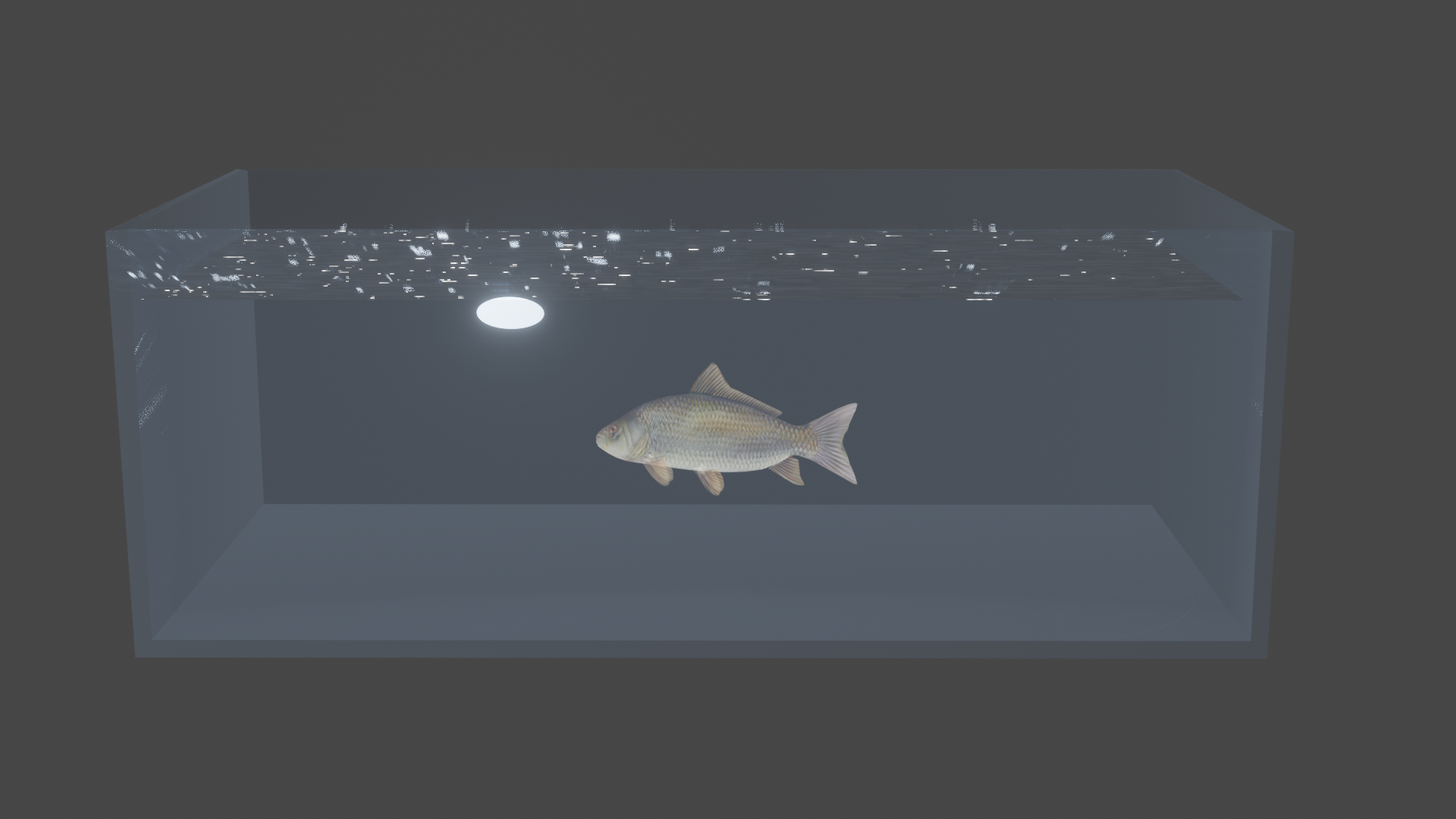 GitHub - krnithishkumar/Fish-Tank-Animation: Blender project on Fish ...