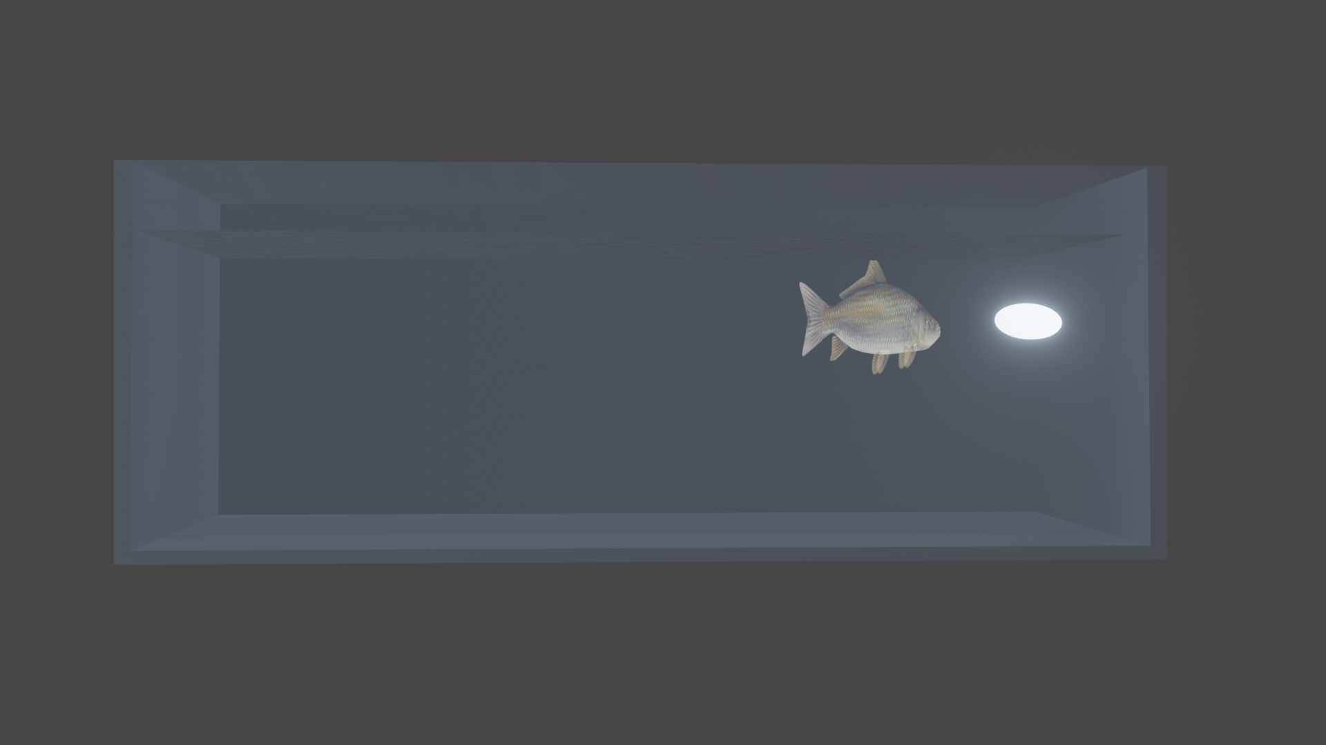 GitHub - krnithishkumar/Fish-Tank-Animation: Blender project on Fish ...
