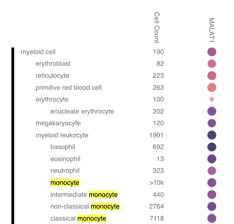 Feat Standardize Cell Type Ontological Ordering Across Different Tissues · Issue 3318